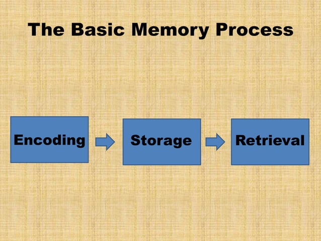 Memory and Models of Memory | PPTX
