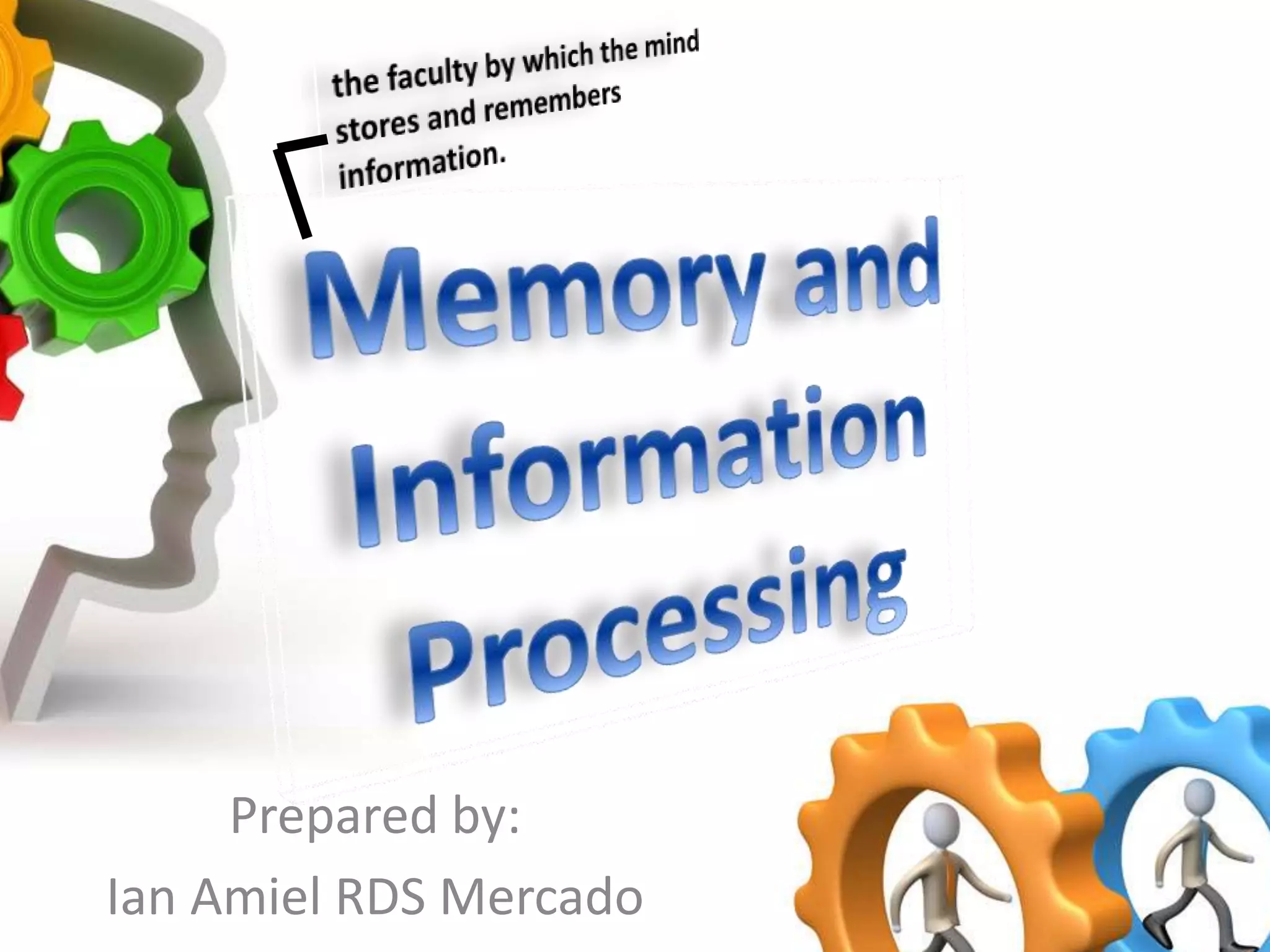 Memory and Information Processing | PPT