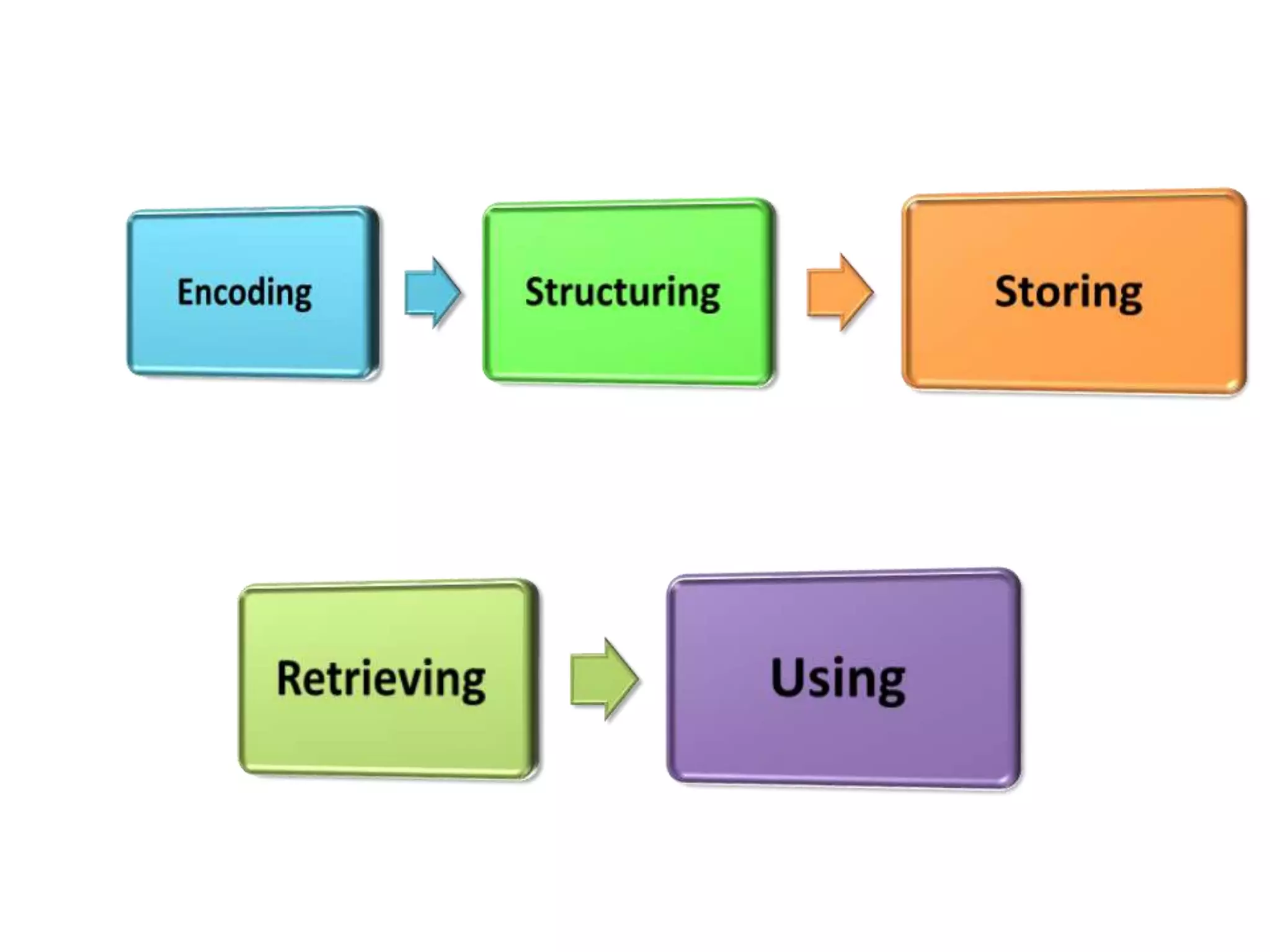Memory and Information Processing | PPT