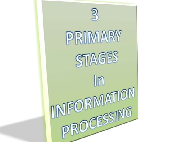 Memory and Information Processing | PPT