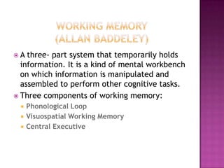 Memory and Thinking | PPTX