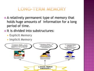 Memory and Thinking | PPTX