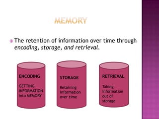 Memory and Thinking | PPTX