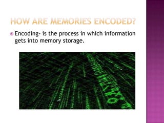 Memory and Thinking | PPTX