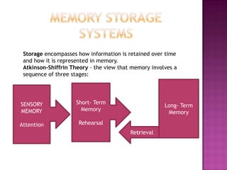 Memory and Thinking | PPTX