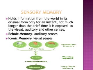 Memory and Thinking | PPTX