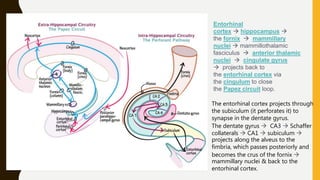 Memory and tl | PPTX