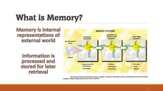 Memory assessment | PDF