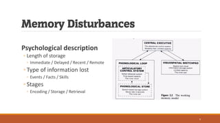 Memory assessment | PDF