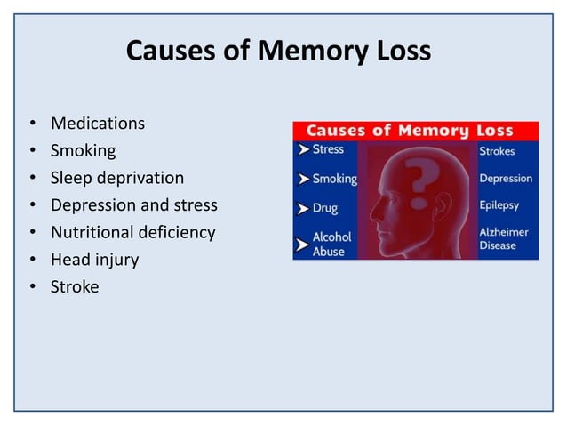Memory Enhancement Capsule | PPTX