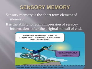 Memory | PPT