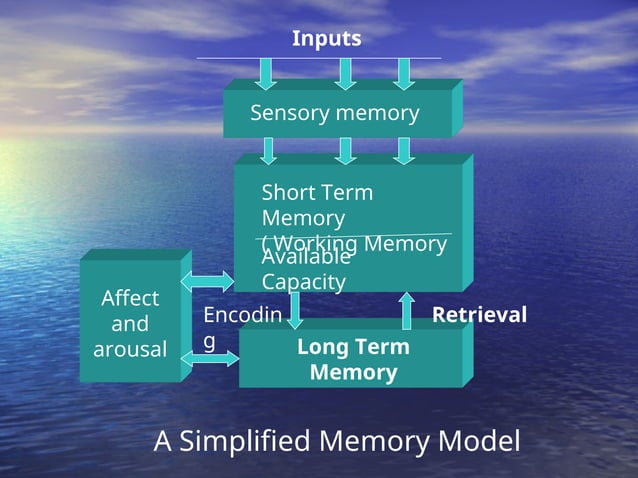 Memory & Cognitive Learning related to consumer behavior | PPT