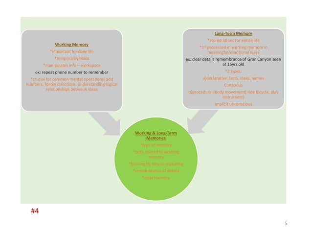 CONCEPTUAL FRAMEWORK: COMPARISON / CONSTRAST