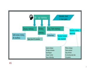 CONCEPTUAL FRAMEWORK: DESCRIPTION | PPT