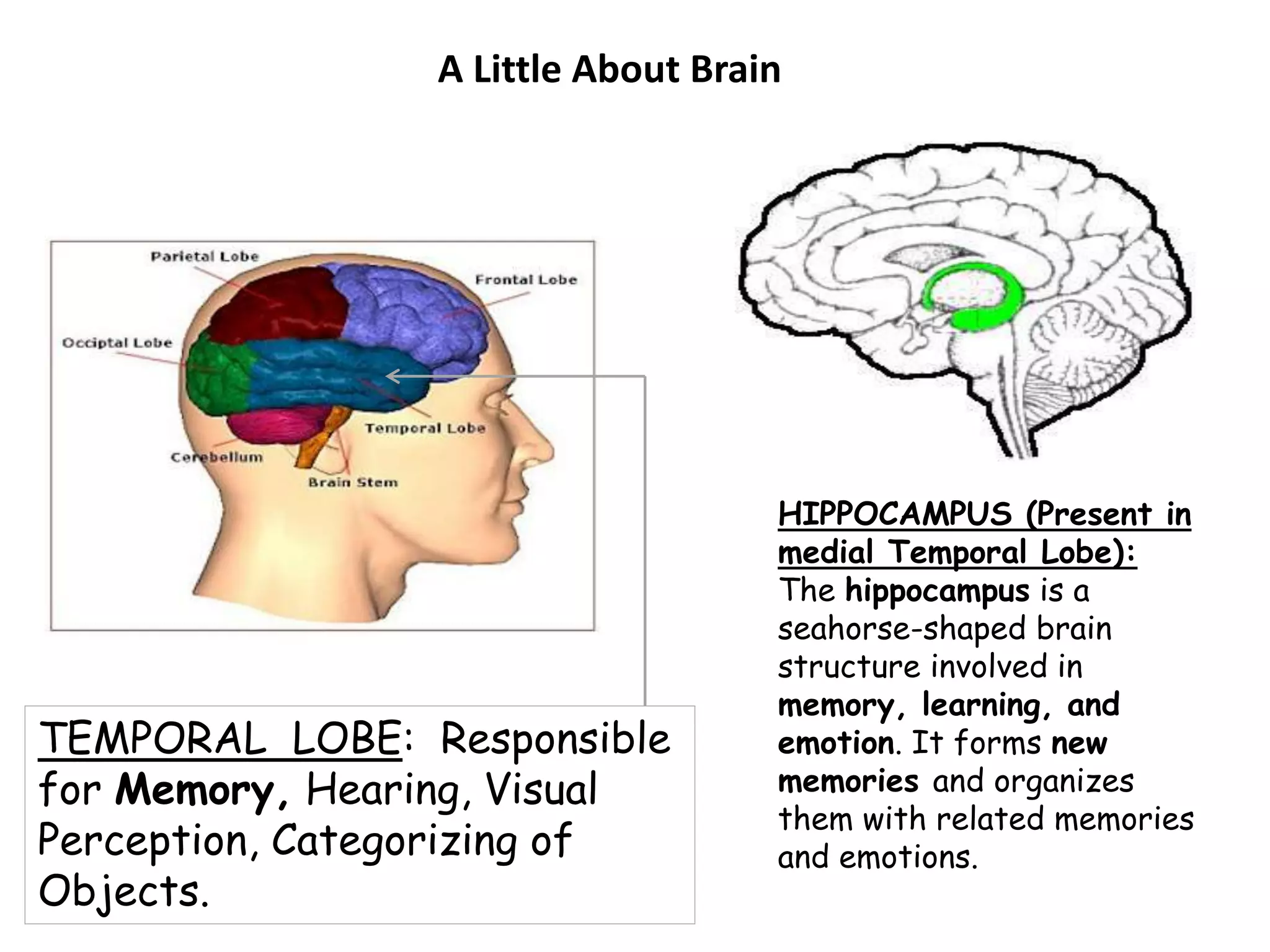 Memory disorders | PDF