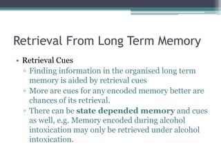 Memory.pptx