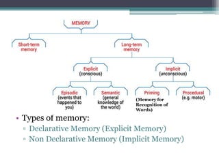 Memory.pptx