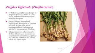 memory enhancerrs.pptx | Herbs and Supplements | Alternative Medicine