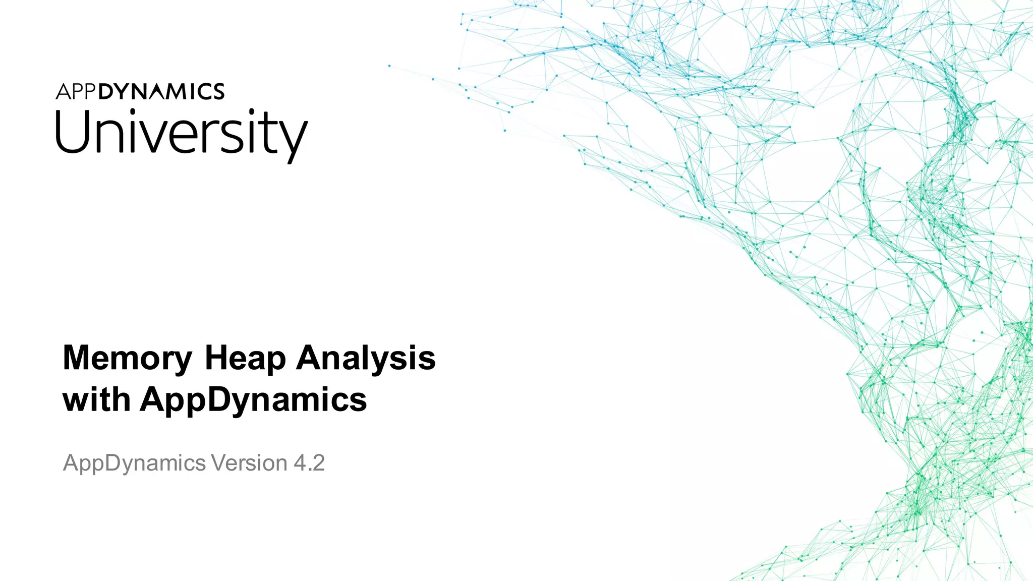 Memory Heap Analysis with AppDynamics - AppSphere16 | PDF | Programming Languages | Computing