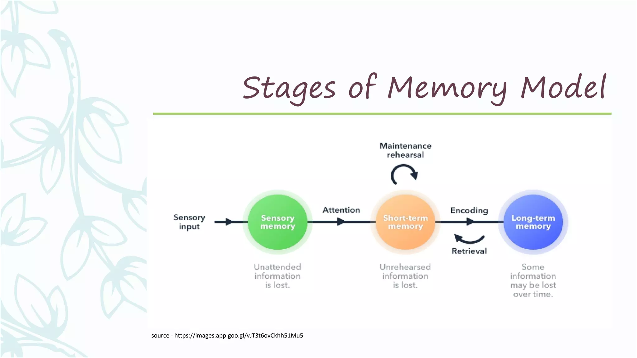 Memory in psychology | PDF