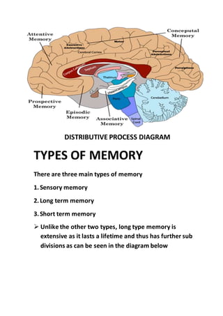 Memory introduction by md.sayef | DOCX