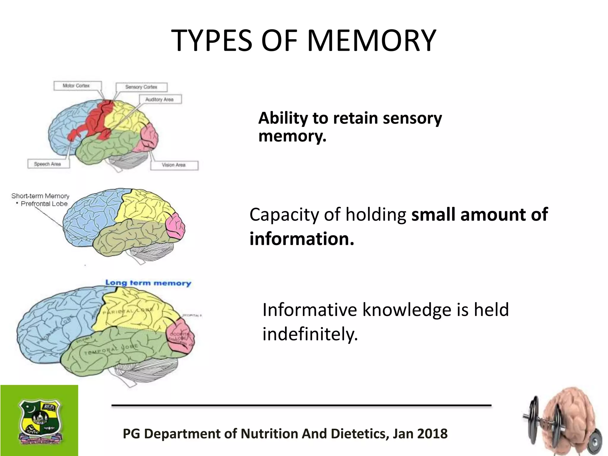Memory & iq | PPT