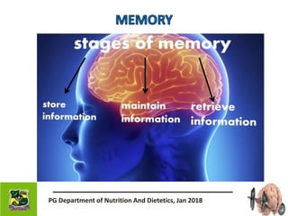 Memory & iq | PPT