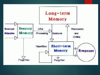 Memory (ingatan) disimpan dalam tiga sistem penyimpanan informasi ...