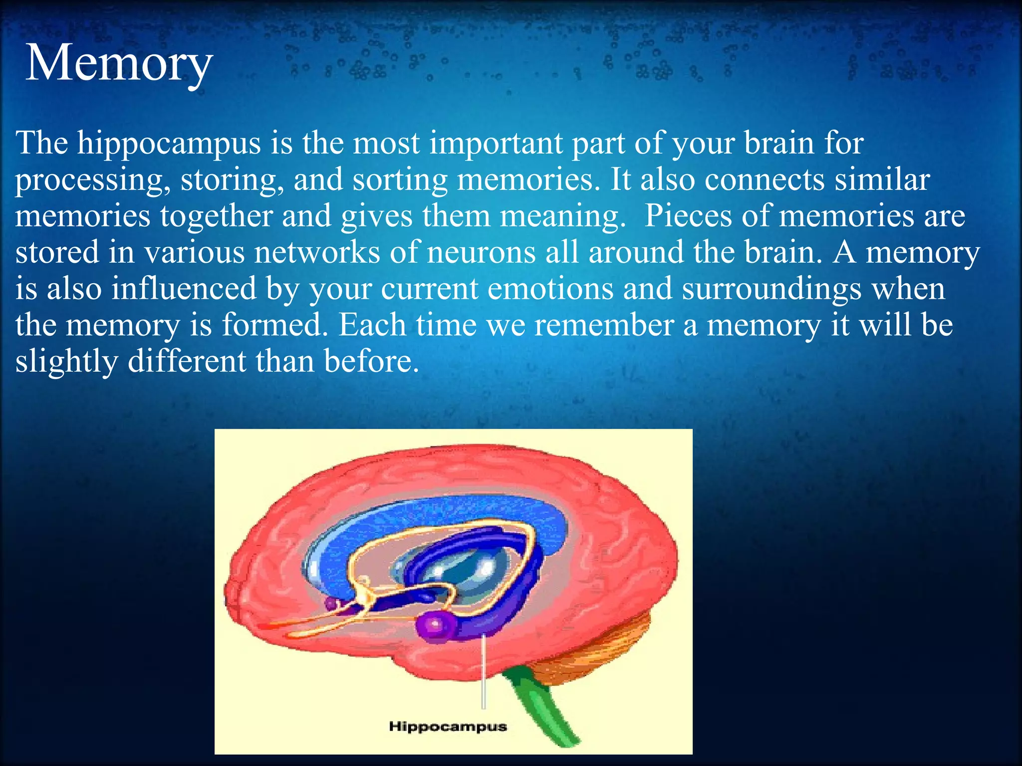 Memory, the types, and how it changes | PPT
