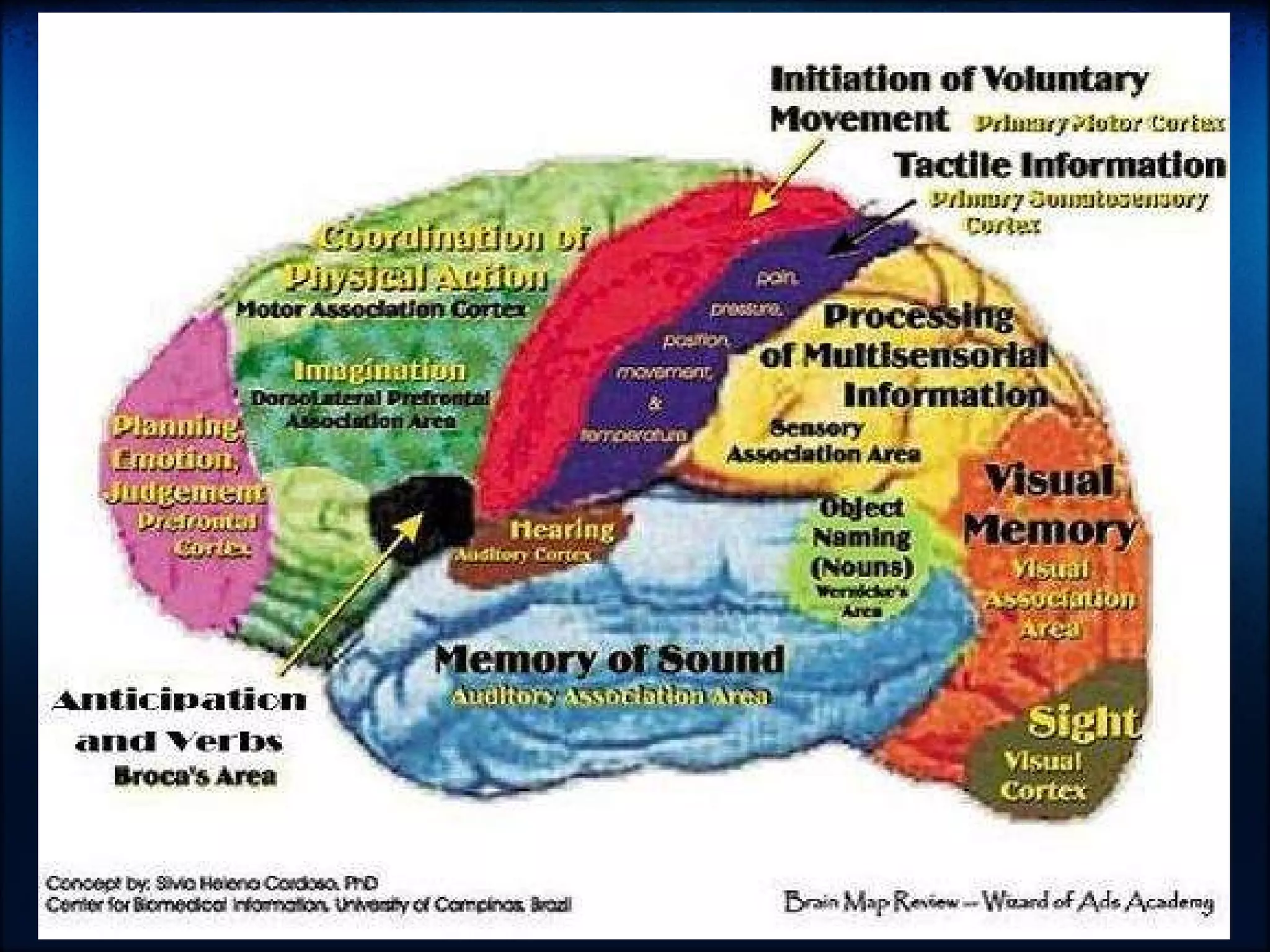 Memory, the types, and how it changes | PPT