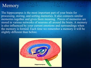 Memory, the types, and how it changes | PPT