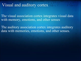 Memory, the types, and how it changes | PPT