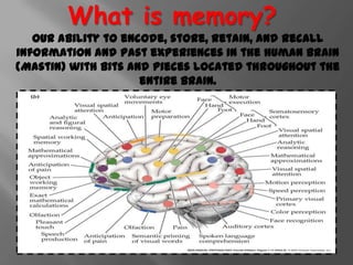 Memory powerpoint | PPT