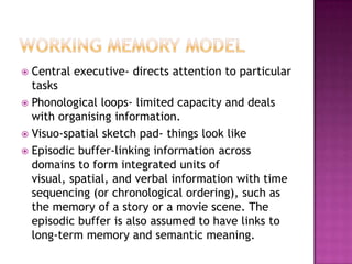 Memory Psychology powerpoint | PPTX