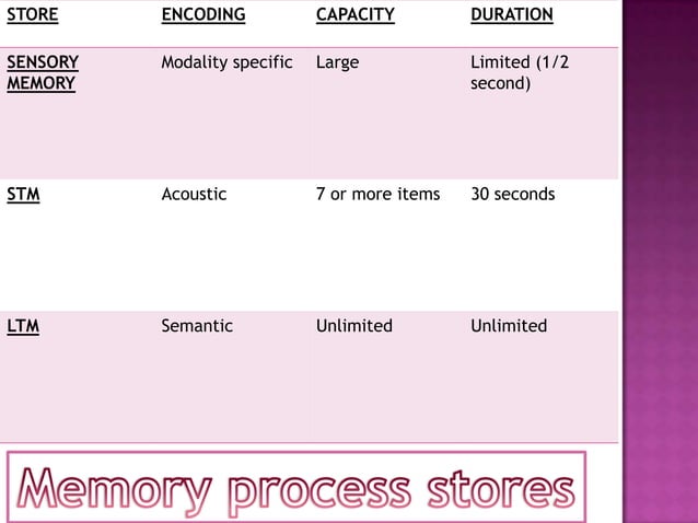 Memory Psychology powerpoint | PPTX