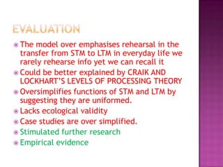 Memory Psychology powerpoint | PPTX