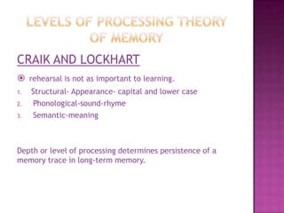 Memory Psychology powerpoint | PPTX