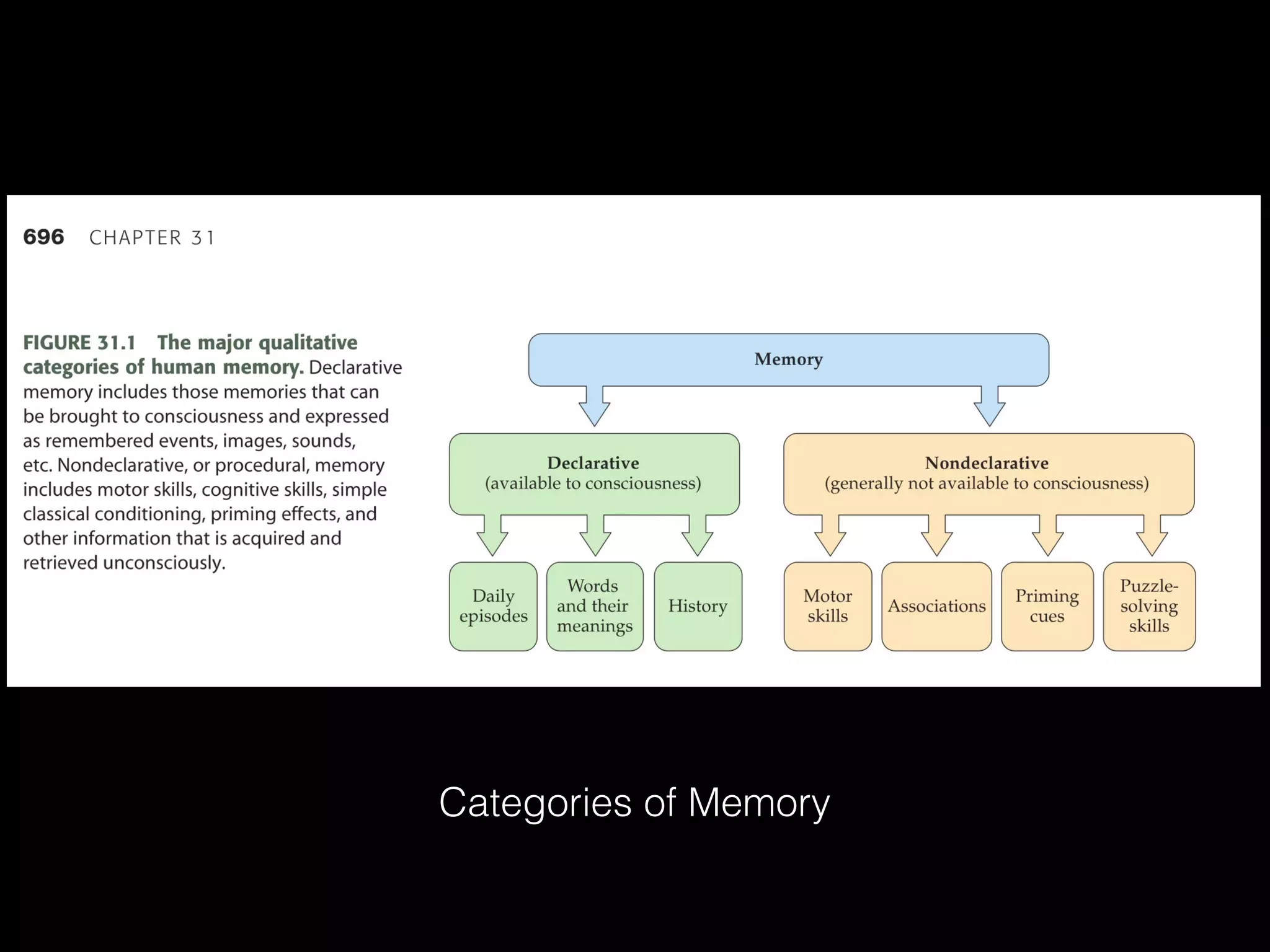 Neurobiology of Memory | PPT