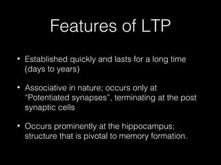 Neurobiology of Memory | PPT