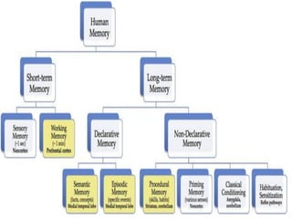 memory and types of memeory ppts sp ed. | PDF