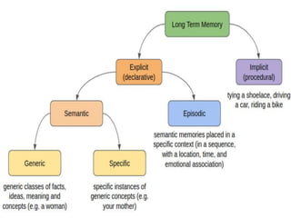 memory and types of memeory ppts sp ed. | PDF