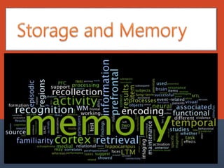 Memory presentation | PPT