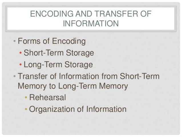 Memory processes