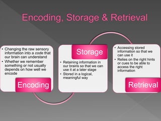 Chapter no 5 memory (psychology) (1).ppt