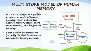 Memory slide | PPT
