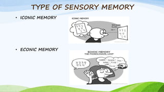 Memory slide | PPT