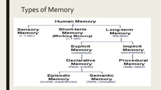Memory slides | PPT