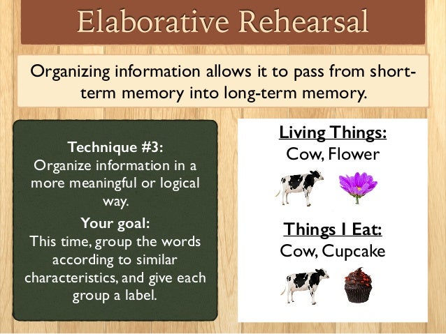 Elaborative Rehearsal Psychology Examples