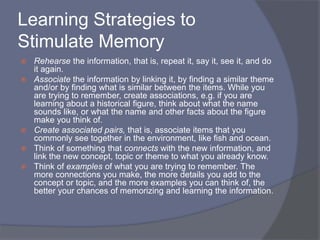 Memory Strategies to Help Students Remember What They See and Hear in ...