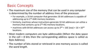 memory system notes.pptx
